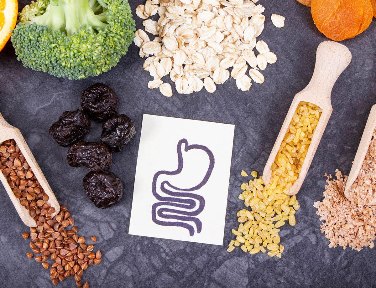 Unlocking the Mystery of Post-Biotics: The New Frontier in Gut Health ...