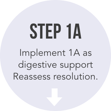 Getting Started – U.S. Enzymes
